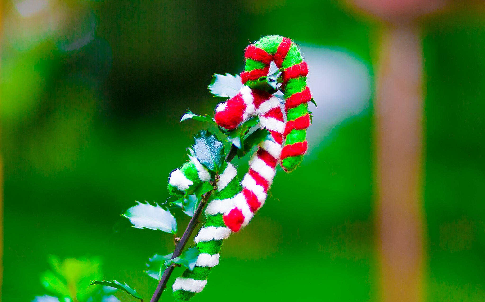 Karma Cat Felted Wool Candy Cane Christmas Cat Toy – Sugarboy's